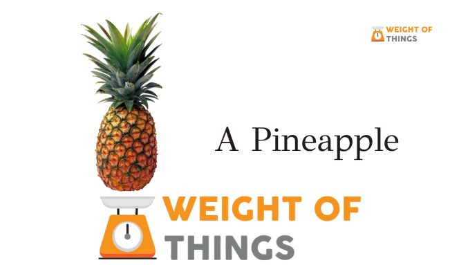 20 Common Things That Weigh One Kilogram (kg) - Weightofthings