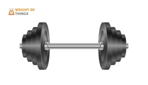 10 Household Items That Weigh one Kilogram (kg) - Weight of Things