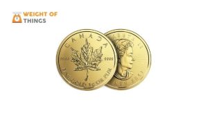 14 Common Things That Weigh 1 Gram (g) - Weight of Things