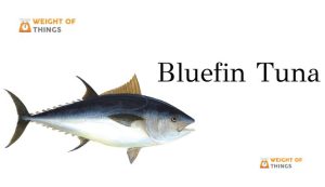 The Big List: Things That Weigh One Ton 2023 - Weight of Things