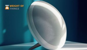 14 Household Items That Weigh 3 Pounds With Pics