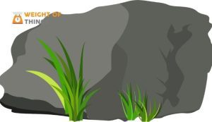 14 Amazing Things That Weigh 100 Tons - Images - Weight of Things