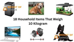 18 Household Items That Weigh 10 Kilograms (Images) - Weight of Things