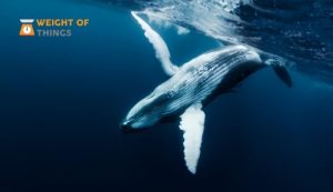 16 Things That Weigh 1000 Tons With Images - Weight of Things