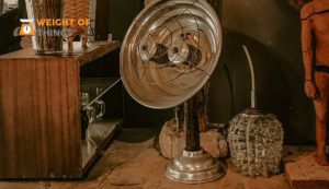 15 Common Things That Weigh 7 Pounds - Weight of Things