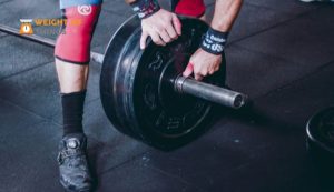 15 Things That Weigh 300 Kilograms With Images - Weight of Things