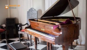 14 Common Things That Weigh 200 Kilograms with Images - Weight of Things