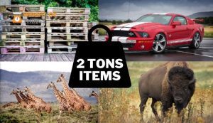 14 Things That Weigh 2 Tons With Images - Weight of Things