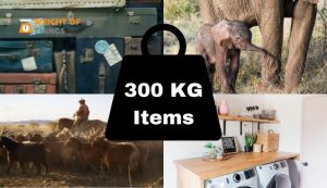 15 Things That Weigh 300 Kilograms With Images - Weight of Things