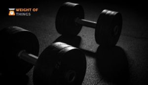 11 Things That Weigh 25 Kilograms With Images - Weight of Things