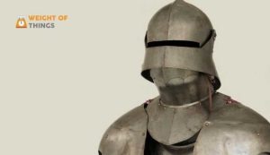 14 Common Things That Weigh 9 Pounds With Images - Weight of Things