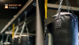 15 Common Things That Weigh 60 Pounds With Images - Weight of Things