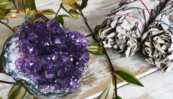 14 Common Things That Weigh 9 Pounds With Images - Weight of Things