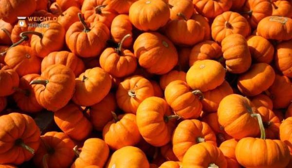 14 Common Items That Weigh 35 Pounds With Images - Weight of Things