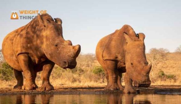 14 Things That Weigh 20 Tons With Images - Weight of Things