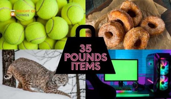 14 Common Items That Weigh 35 Pounds With Images - Weight of Things