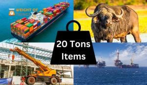 14 Things That Weigh 20 Tons With Images - Weight of Things
