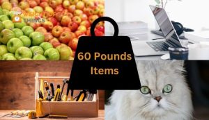 15 Common Things That Weigh 60 Pounds With Images - Weight of Things