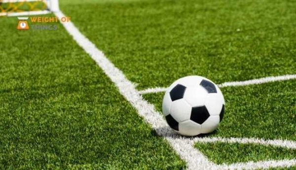 14 Things That Weigh 400 Grams With Images - Weight of Things