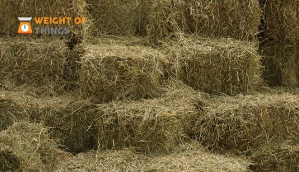 14 Things That Weigh 70 Pounds With Images - Weight of Things