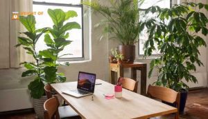 14 Common Items That Weigh 35 Pounds With Images - Weight of Things