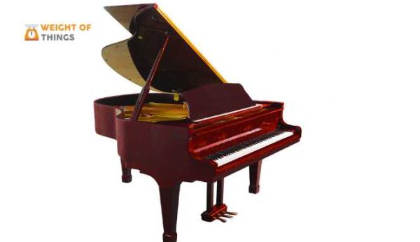 11 Things That Weigh 60 Kilograms With Images - Weight of Things