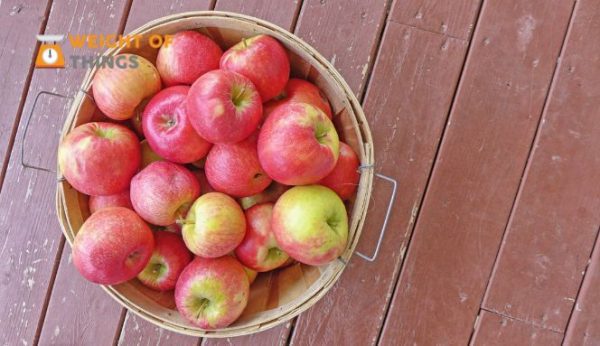 14 Things That Weigh 70 Pounds With Images - Weight of Things