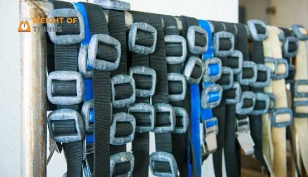 14 Common Things That Weigh 9 Pounds With Images - Weight of Things