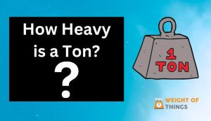 How Heavy Is A Ton - A 2023 Guide - Weight of Things